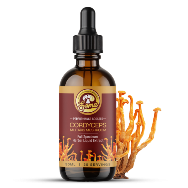 Cordyceps Liquid Extract – Somashrooms